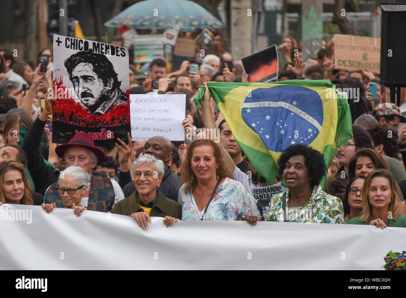 RIO DE JANEIRO, BRAZIL, AUGUST, 25, 2019: protest for the Amazon ...