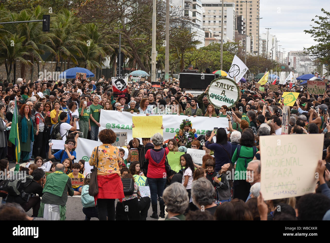 RIO DE JANEIRO, BRAZIL, AUGUST, 25, 2019: protest for the Amazon ...