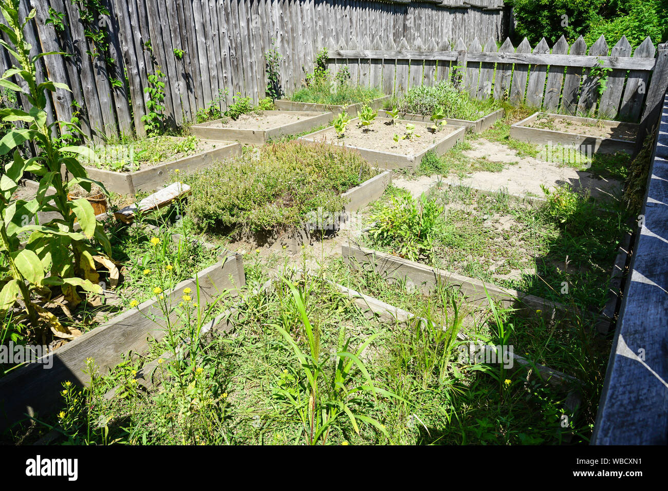 Vegetable garden at Authentic Native Indian Village, Saint-Marie among ...
