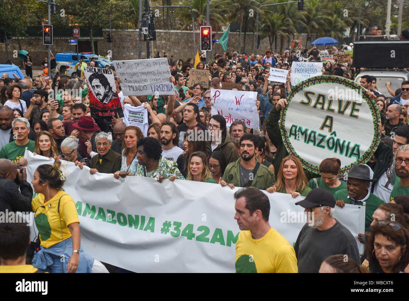 RIO DE JANEIRO, BRAZIL, AUGUST, 25, 2019: protest for the Amazon ...