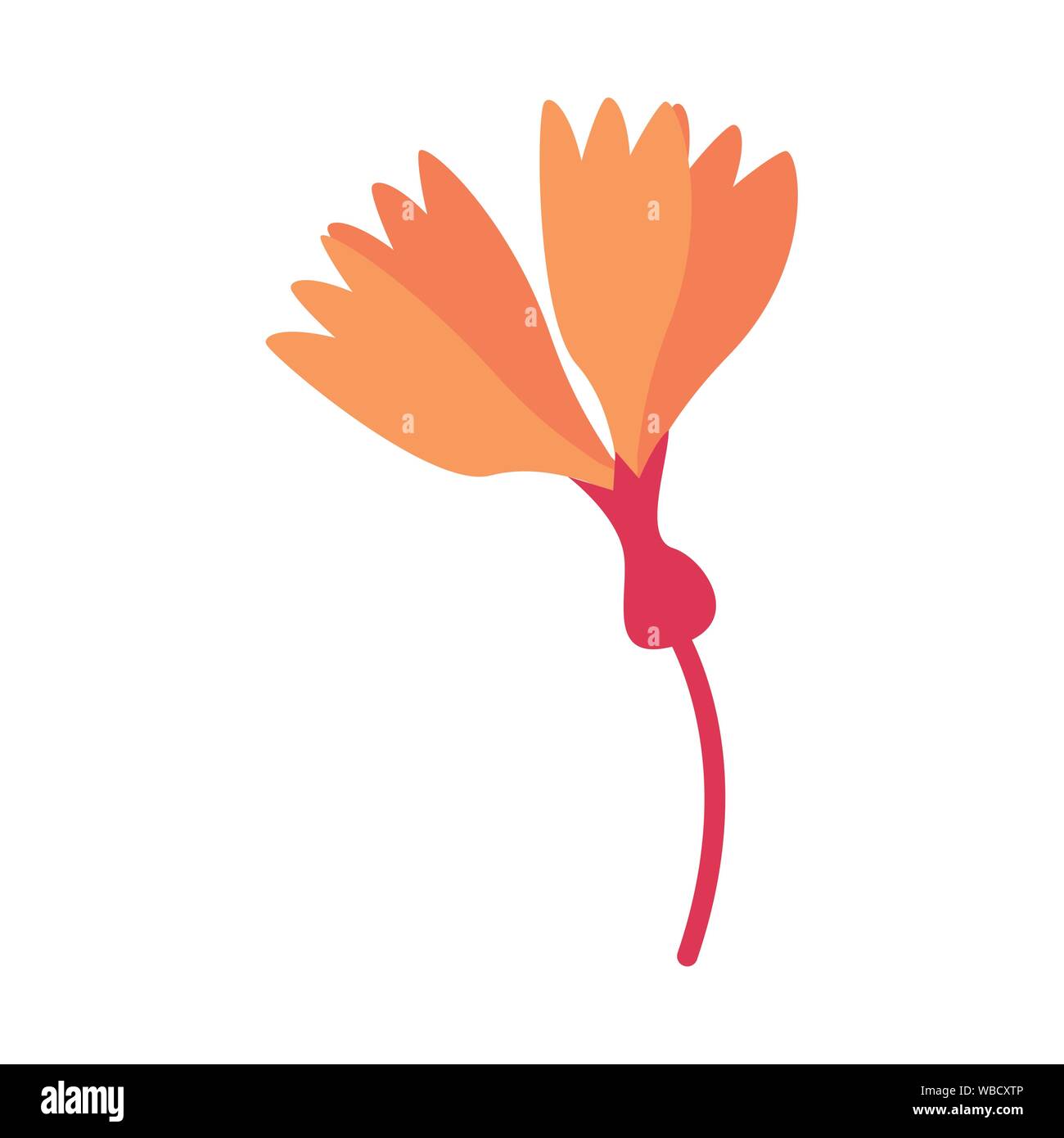 floral spring beautiful flowers cartoon Stock Vector Image & Art - Alamy