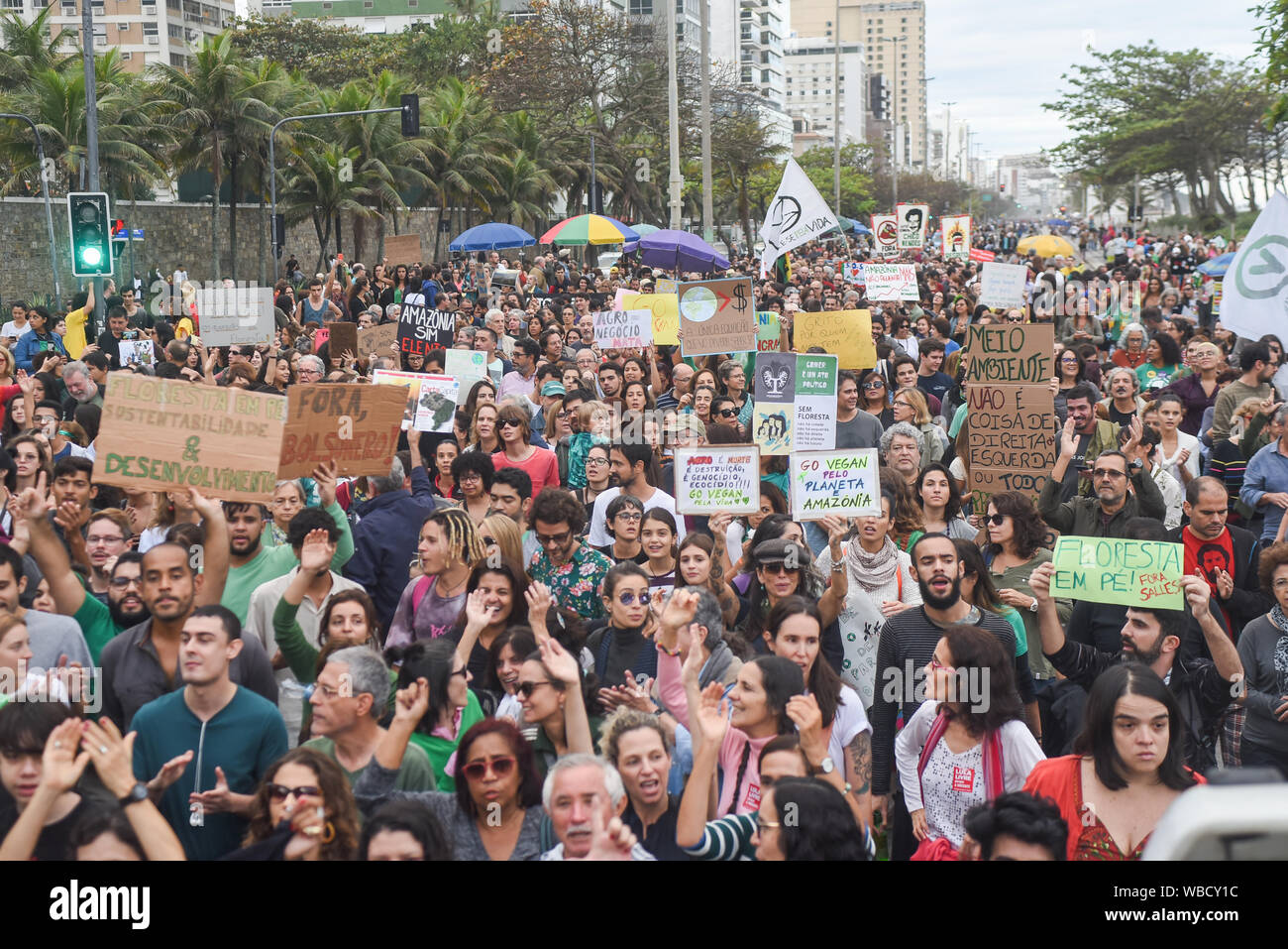 RIO DE JANEIRO, BRAZIL, AUGUST, 25, 2019: protest for the Amazon ...