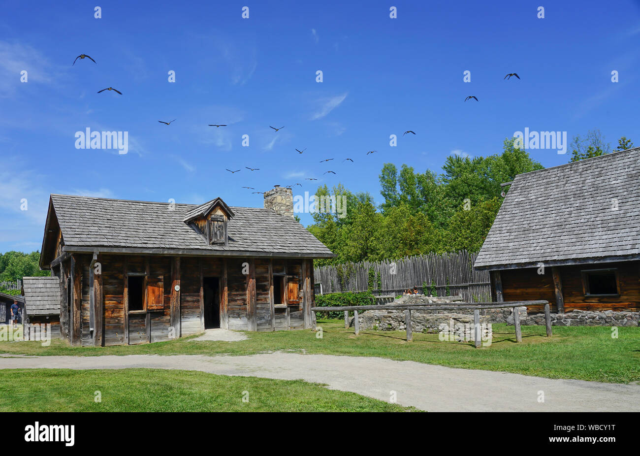 Canada Geese overhead at Authentic Native Indian Village, Saint-Marie ...