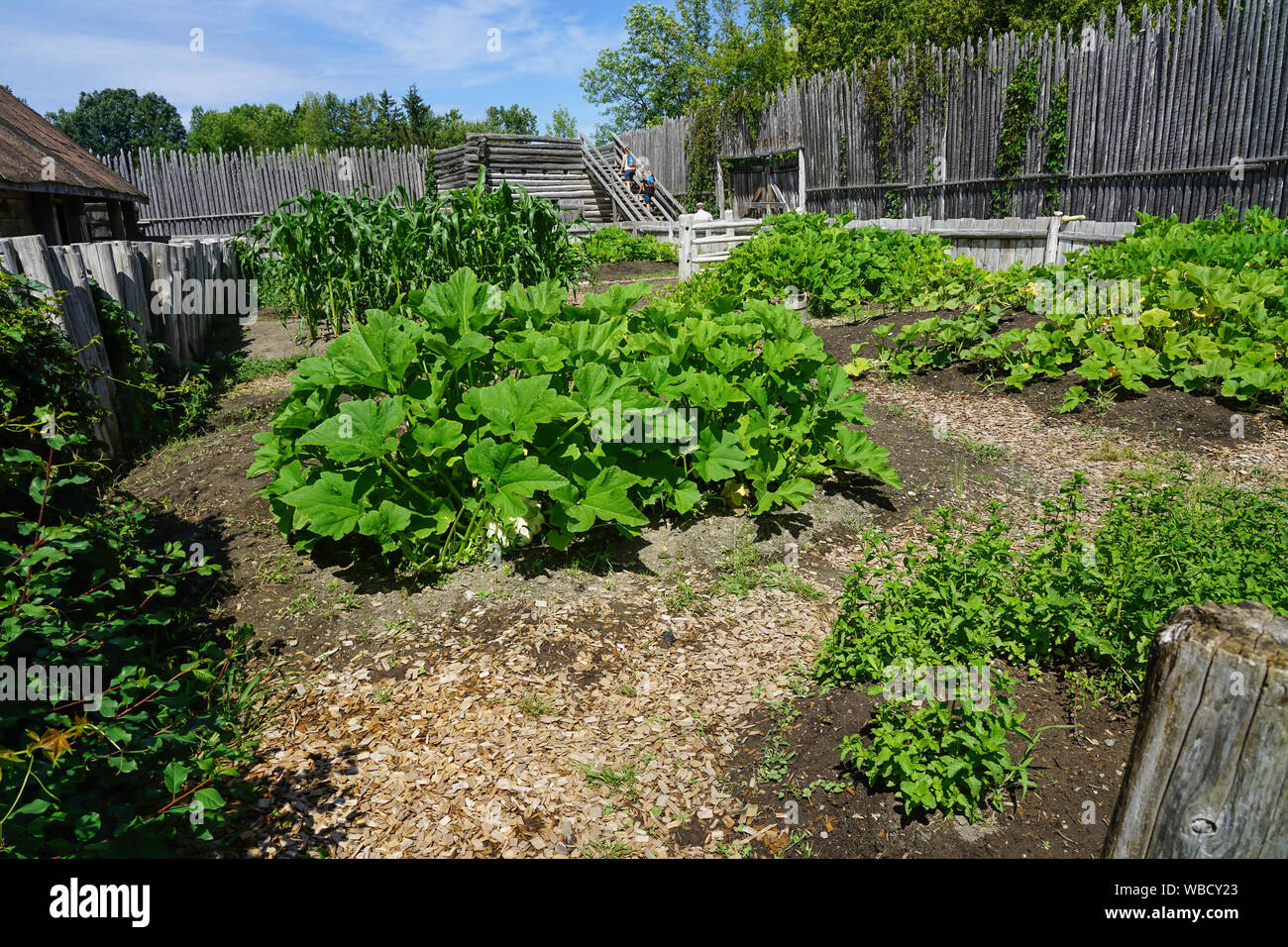 Iroquois village palisade hi-res stock photography and images - Alamy