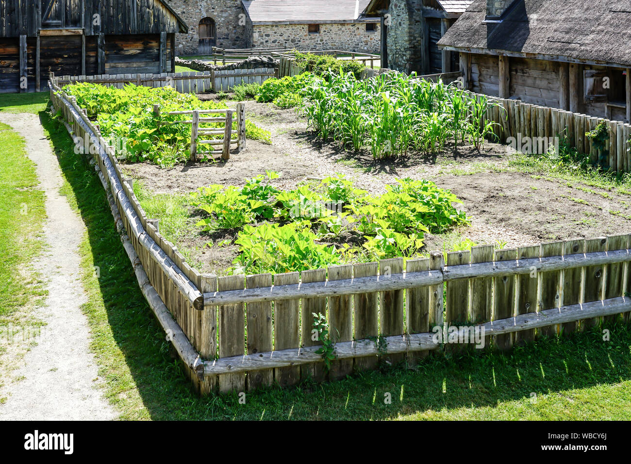 Vegetable garden at Authentic Native Indian Village, Saint-Marie among ...