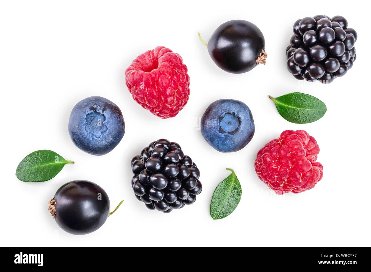 mix of blackberry blueberry raspberry isolated on white background. Top ...