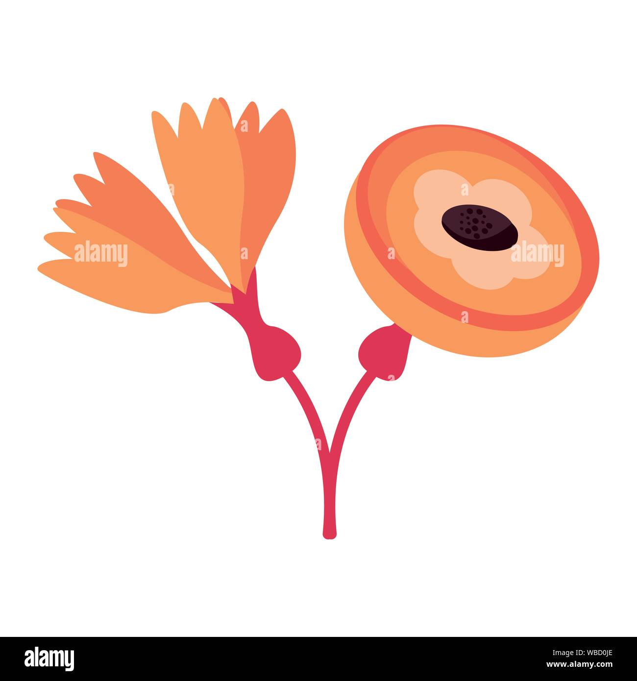 floral spring beautiful flowers cartoon Stock Vector Image & Art - Alamy