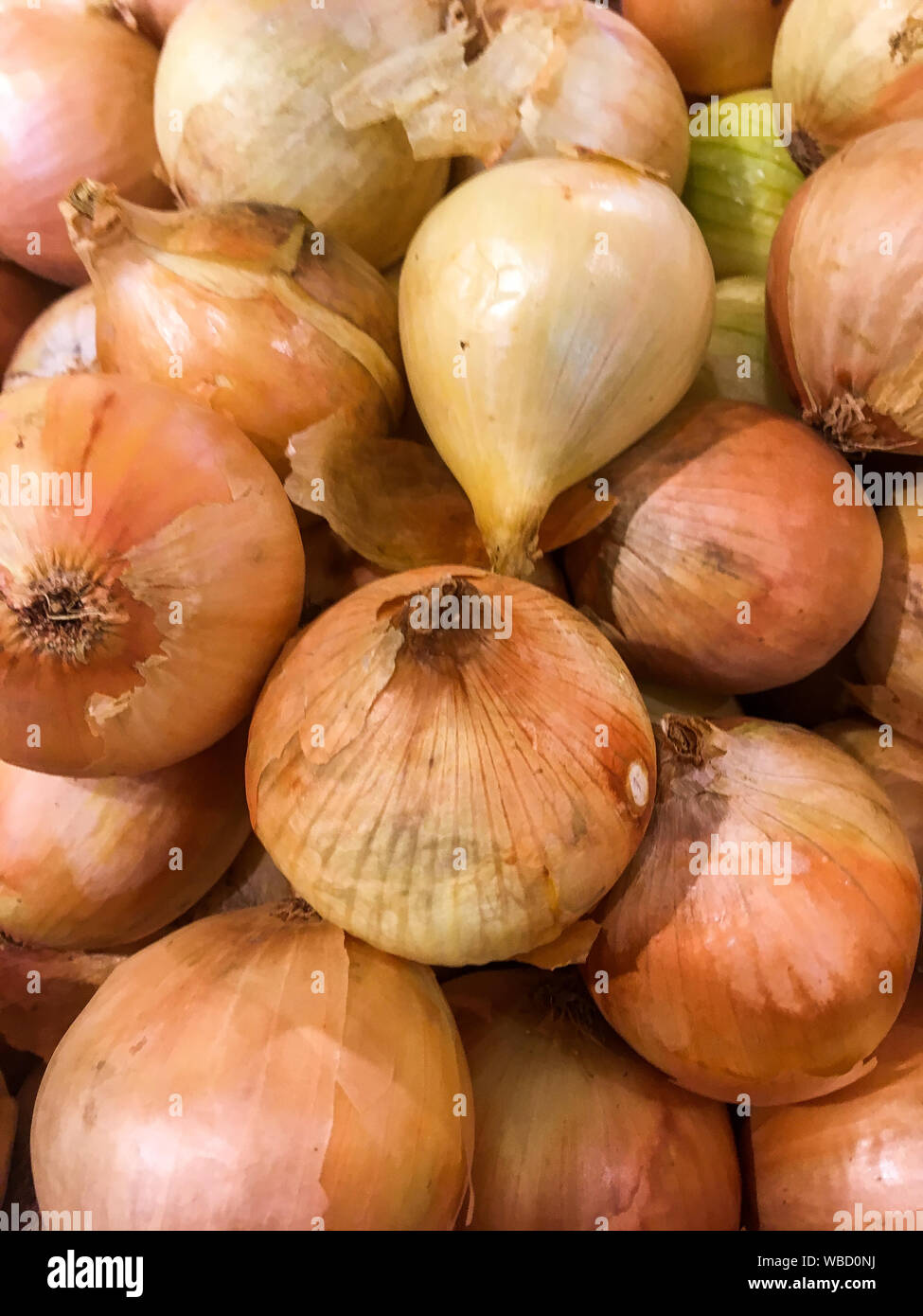 Oignons jaunes hi-res stock photography and images - Alamy