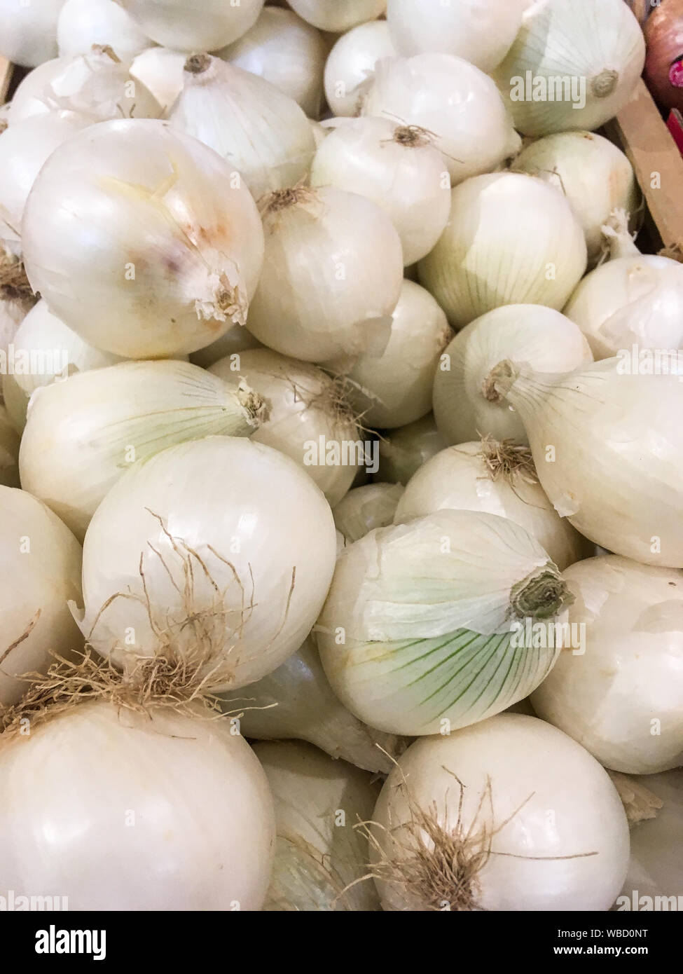 Oignons blancs hi-res stock photography and images - Alamy