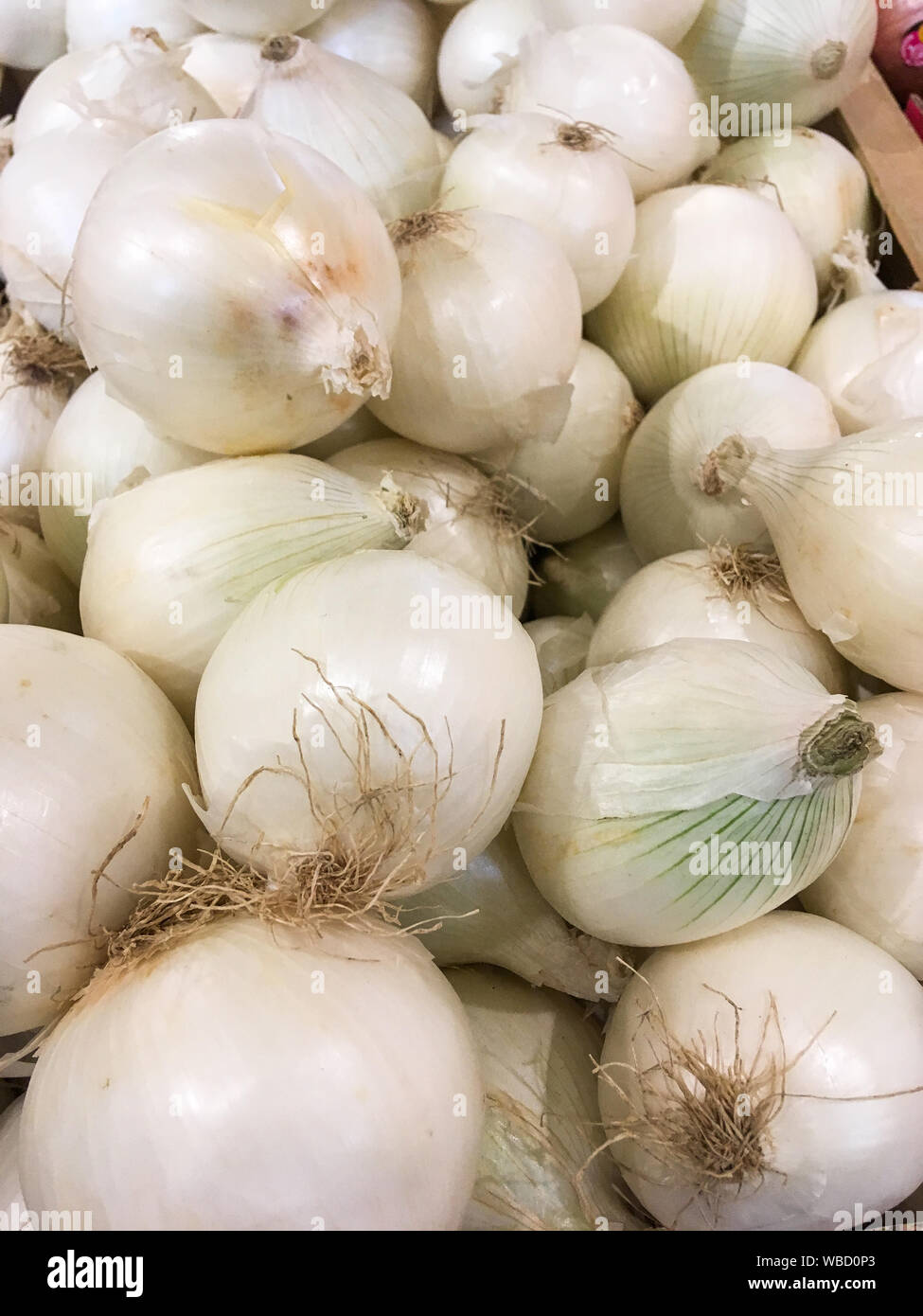 White onions, Lyon, Rhone, France Stock Photo - Alamy