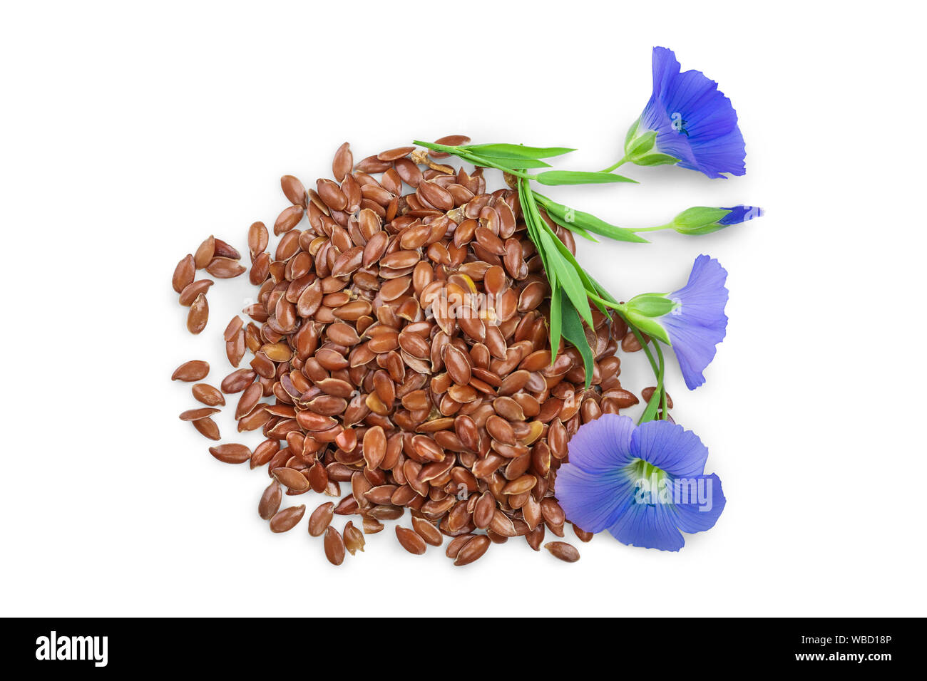 flax seeds with flower isolated on white background Stock Photo - Alamy