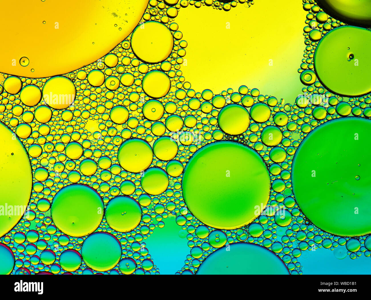 Multi-coloured bubble patterns formed by oil floating on water Stock ...