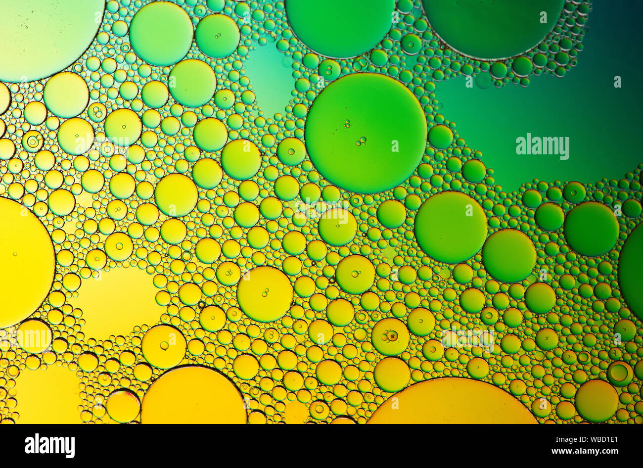 Multi-coloured bubble patterns formed by oil floating on water Stock ...