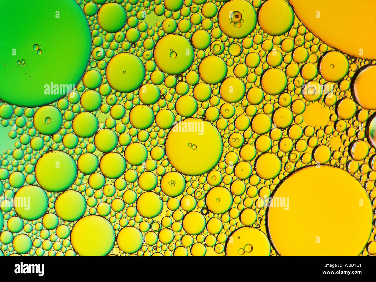 Multi-coloured bubble patterns formed by oil floating on water Stock ...