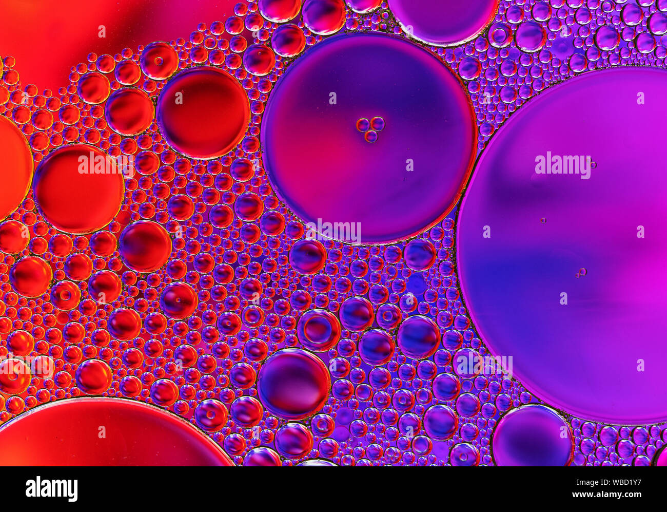 Multi-coloured bubble patterns formed by oil floating on water Stock ...
