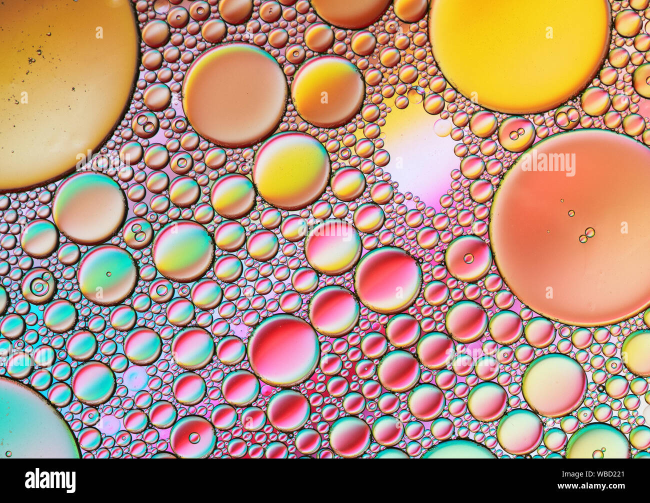 Multi-coloured bubble patterns formed by oil floating on water Stock ...