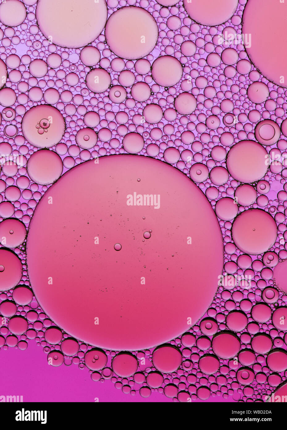 Multi-coloured bubble patterns formed by oil floating on water Stock ...