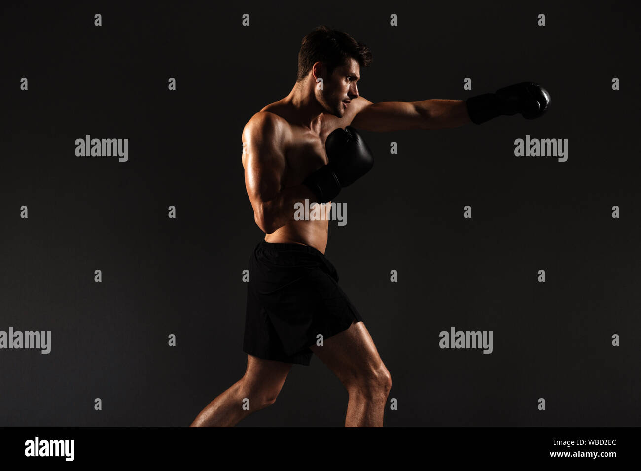 Image of a serious handsome young sportsman boxer in gloves make ...