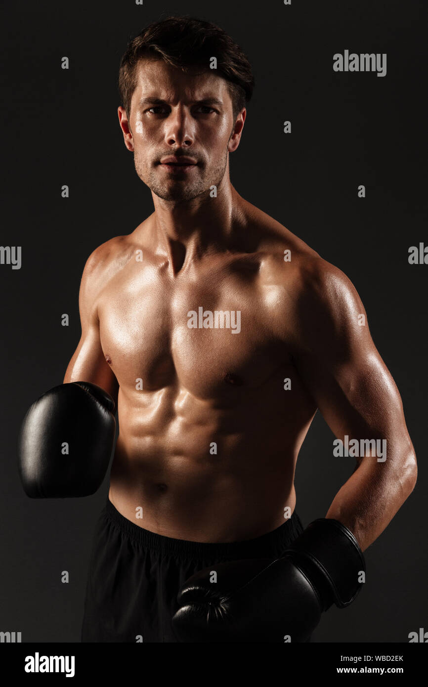 Image of a concentrated strong handsome young sportsman boxer in gloves ...