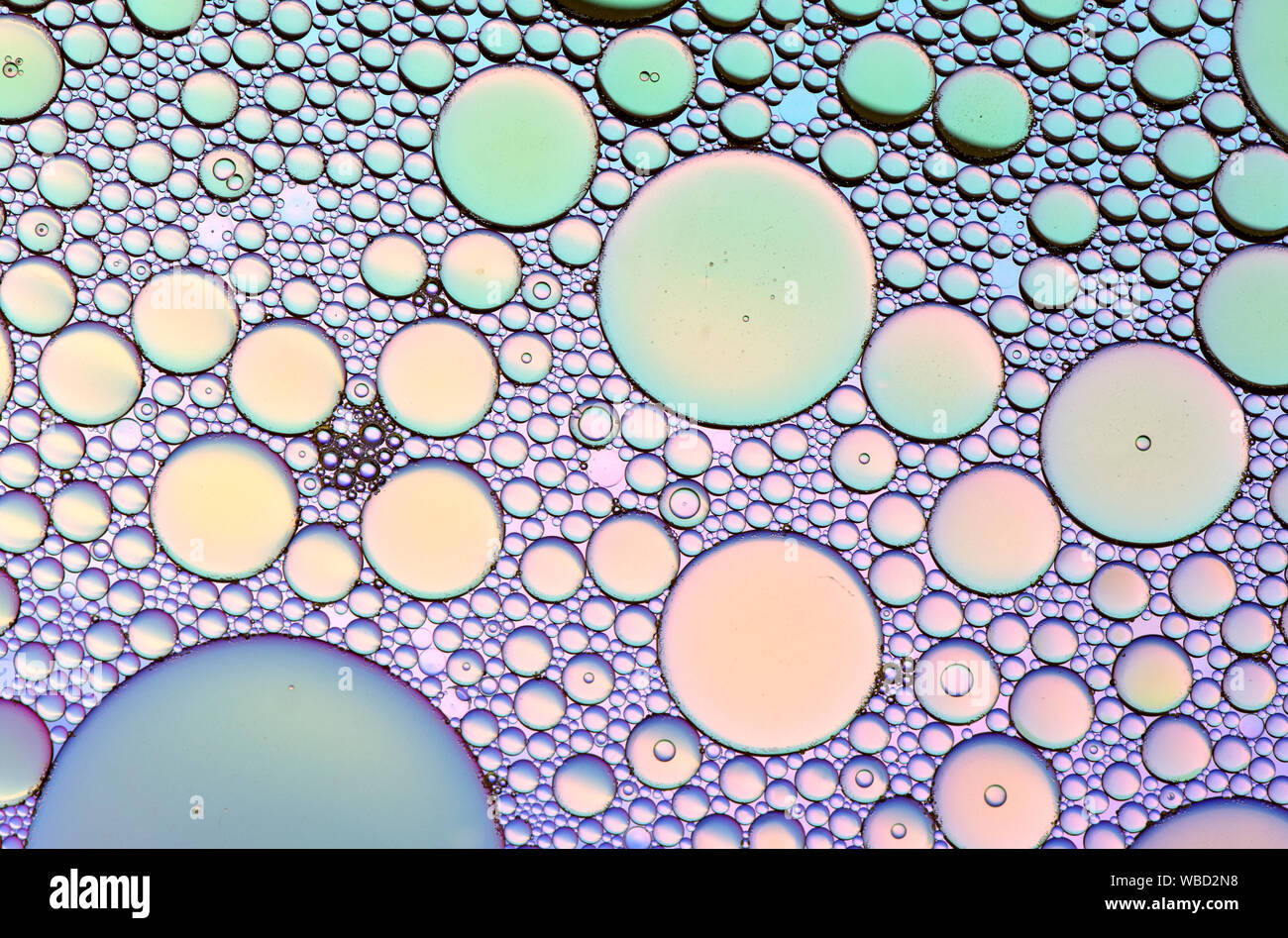 Multi-coloured bubble patterns formed by oil floating on water Stock ...