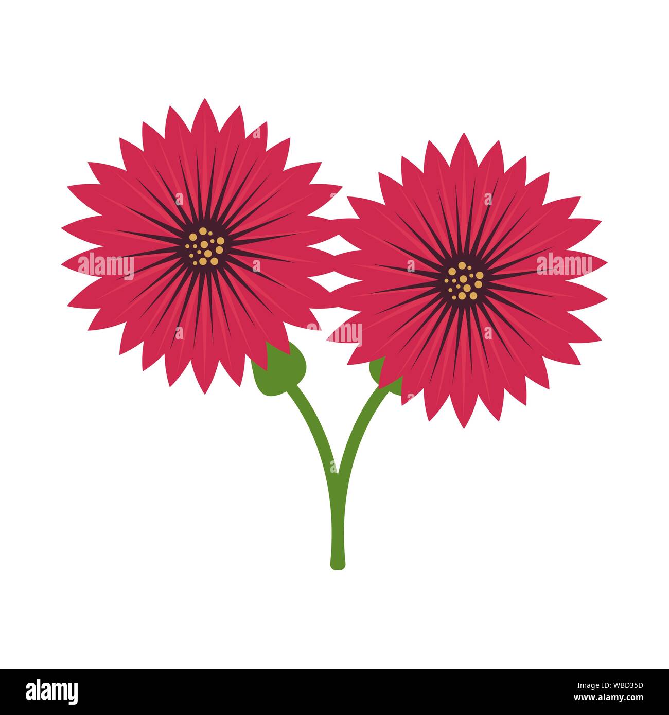 floral spring beautiful flowers cartoon Stock Vector Image & Art - Alamy