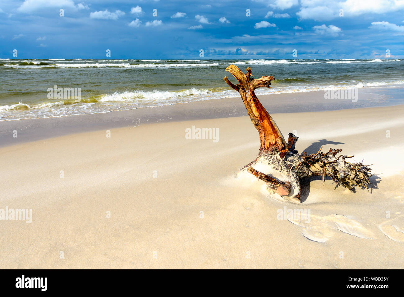 Thrown sand hi-res stock photography and images - Alamy