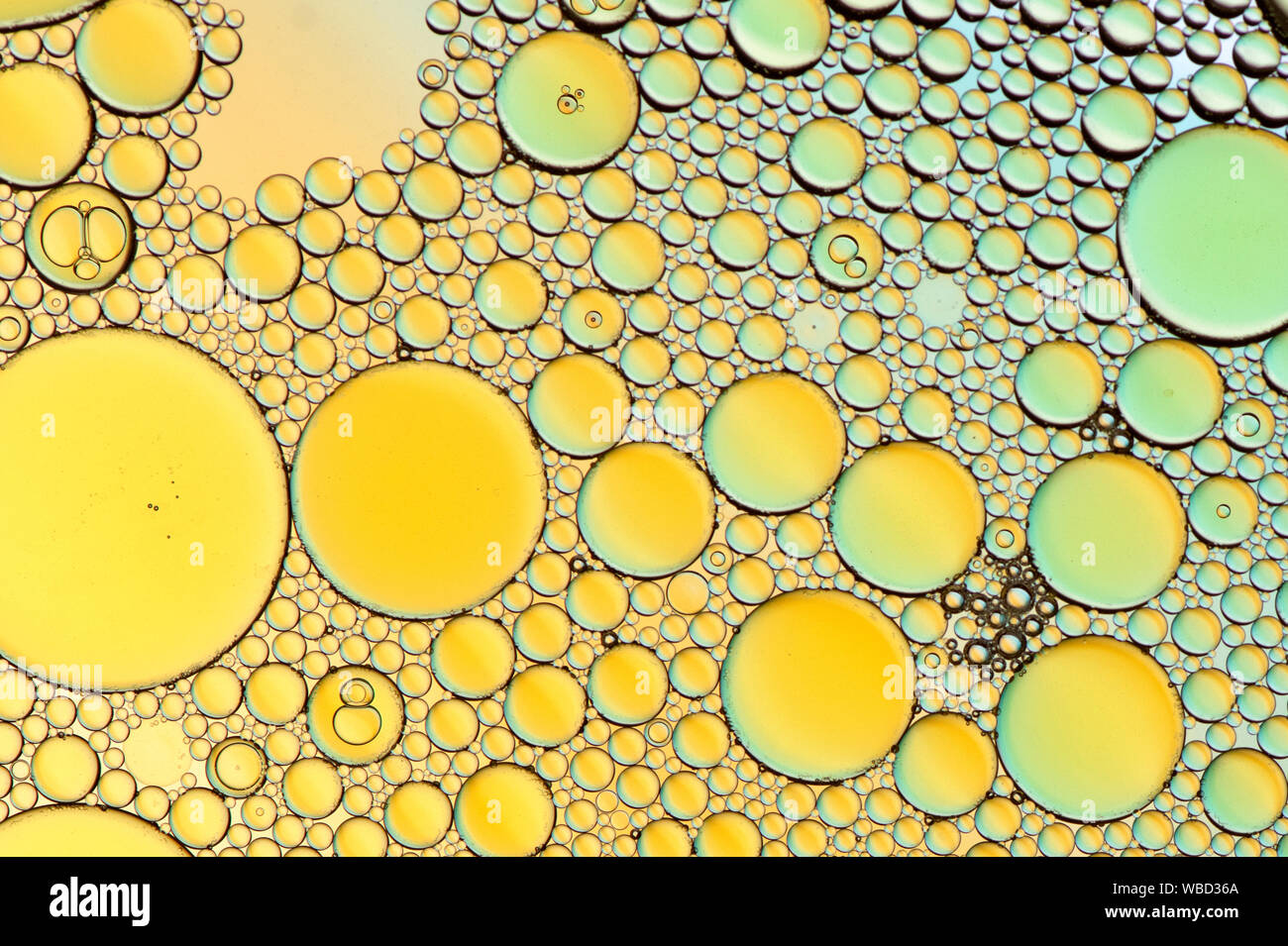 Multi-coloured bubble patterns formed by oil floating on water Stock ...