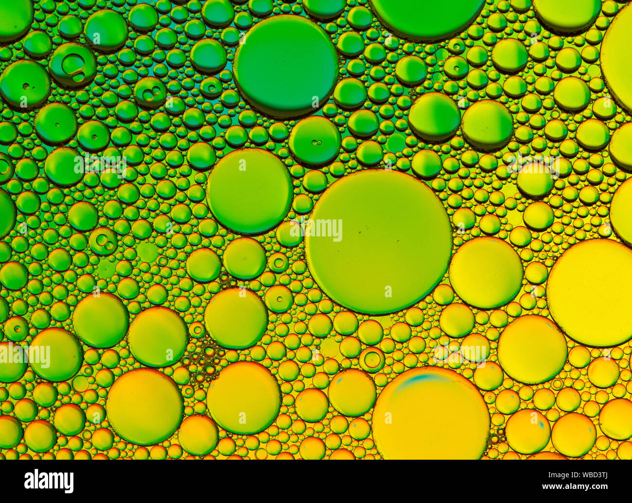 Multi-coloured bubble patterns formed by oil floating on water Stock ...