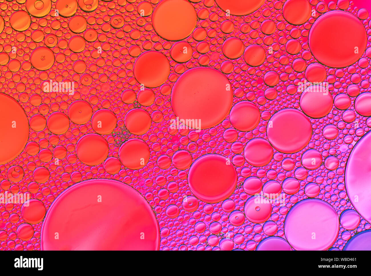 Multi-coloured bubble patterns formed by oil floating on water Stock ...