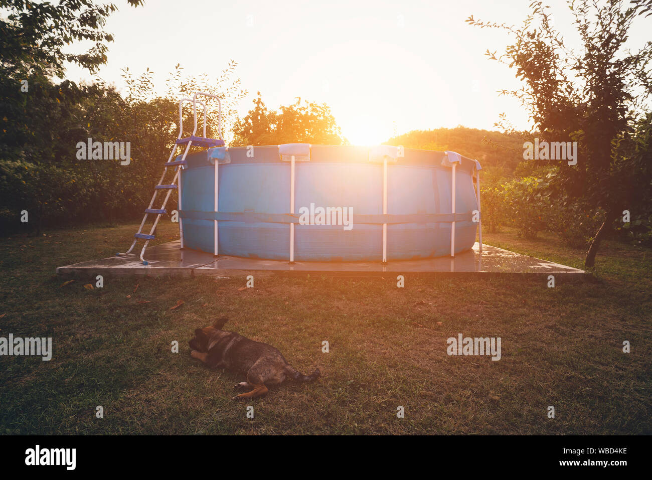 Backyard with pool hi-res stock photography and images - Alamy