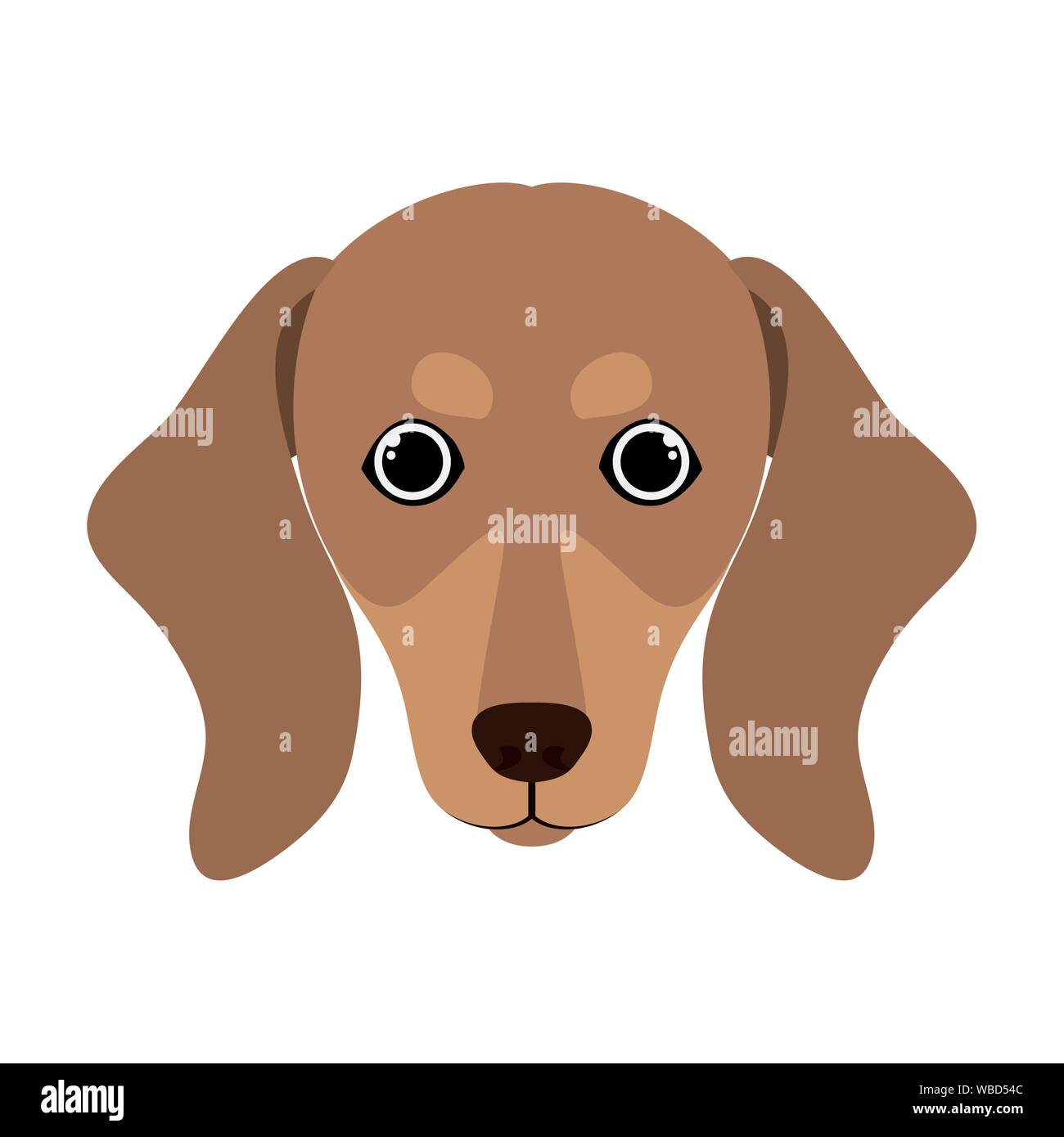 head of cute dachshund dog on white background Stock Vector Image & Art ...