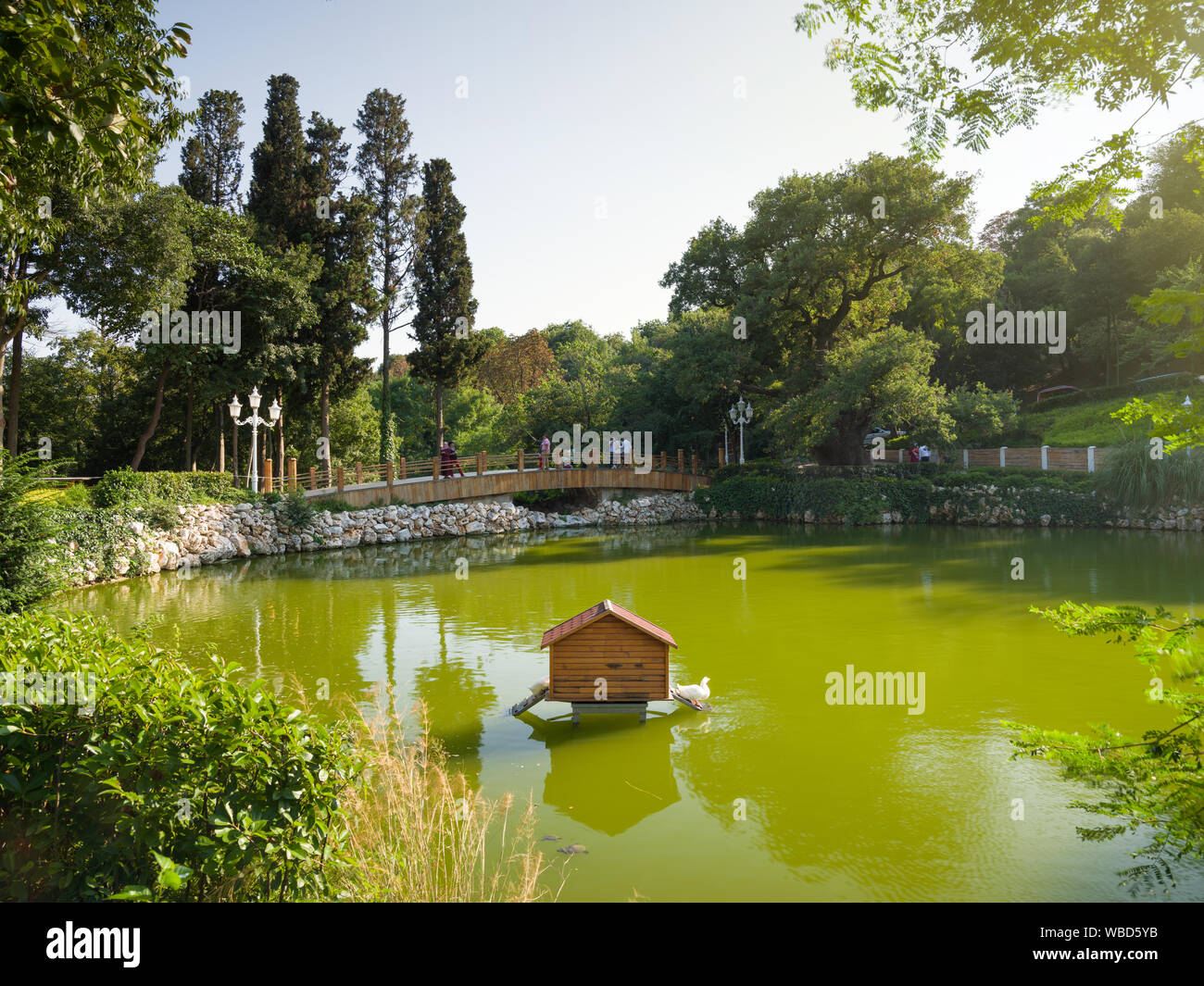 Besiktas istanbul hi-res stock photography and images - Alamy