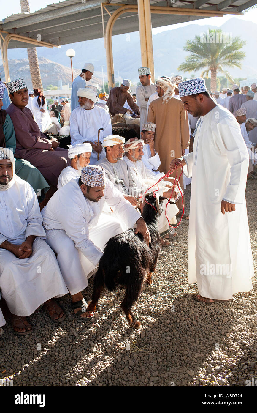 cattle market, Nizwa, Sultanate of Oman Stock Photo - Alamy