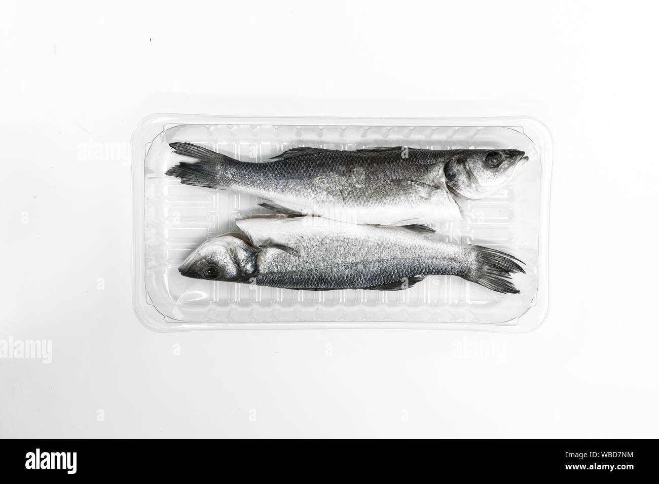 sea bass in plastic container, isolated on white Stock Photo - Alamy