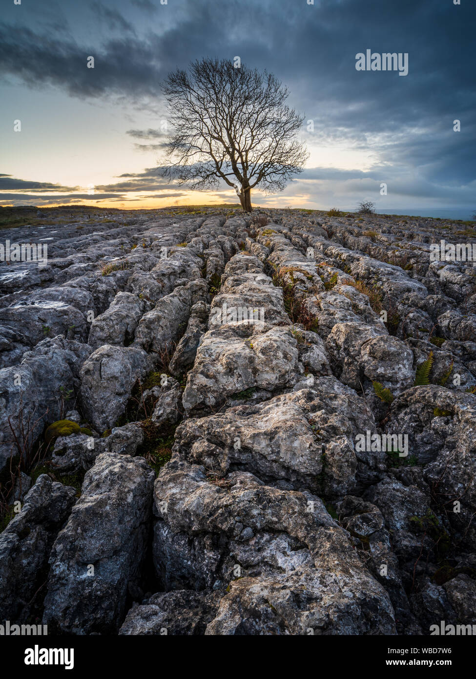 Karst landform hi-res stock photography and images - Alamy
