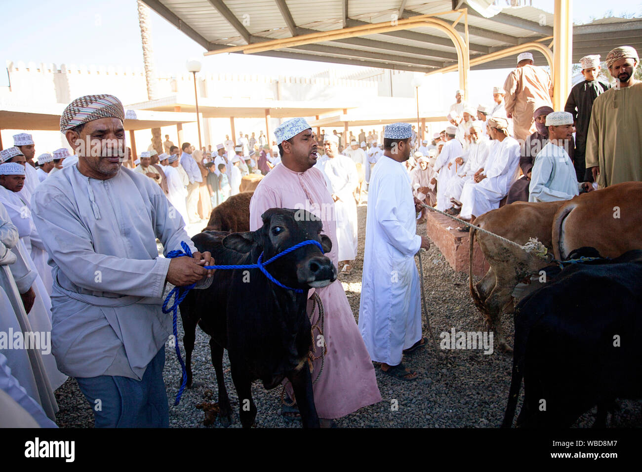 cattle market, Nizwa, Sultanate of Oman Stock Photo - Alamy