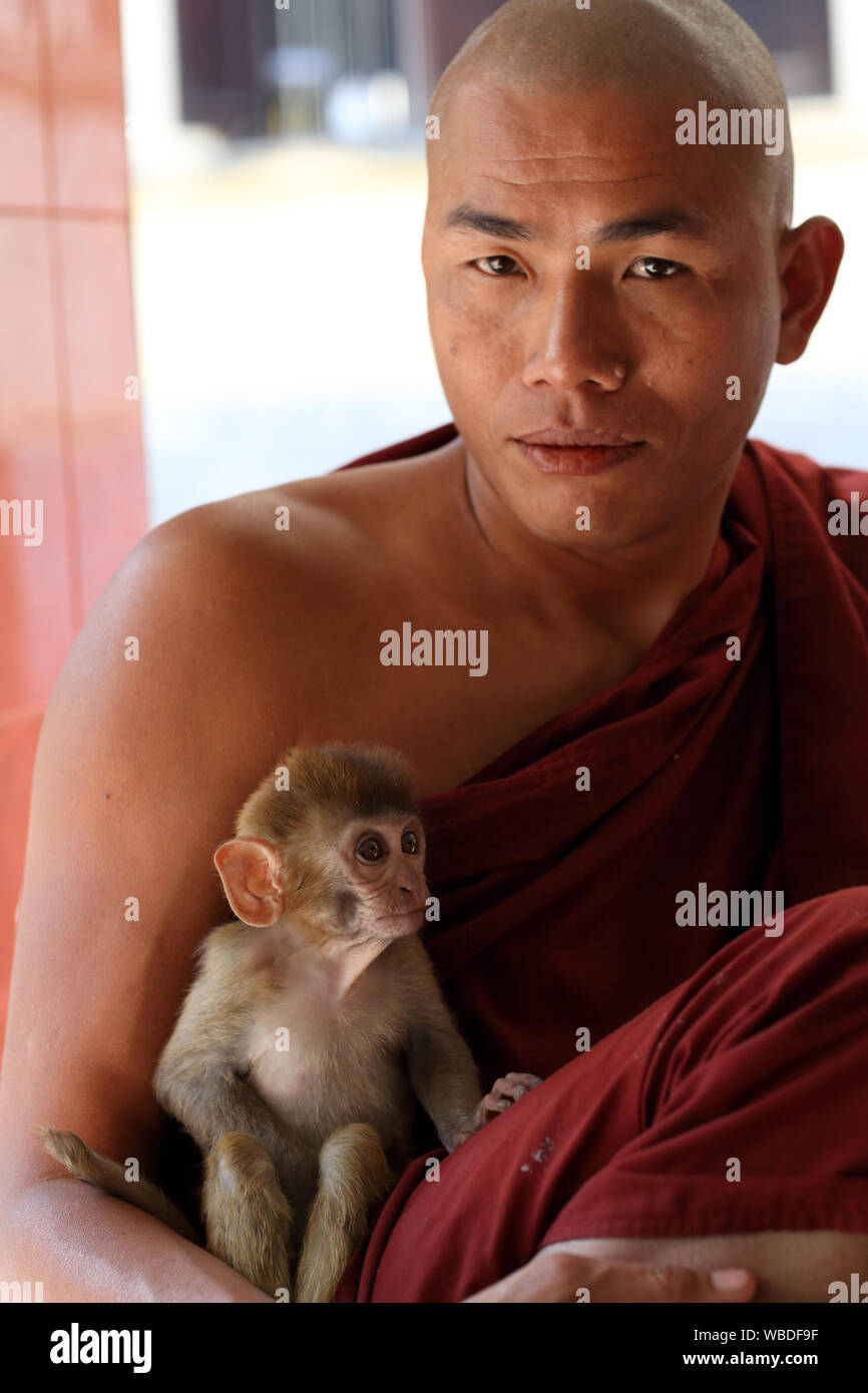 Burmese Buddhist monk in Amarapura, Myanmar Stock Photo - Alamy