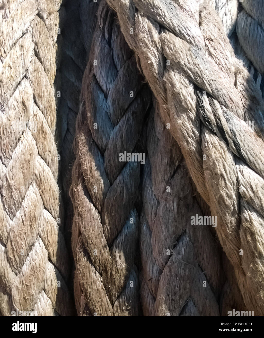 Port rope. Mooring rope. Rope for fastening ships and cargo Stock Photo ...
