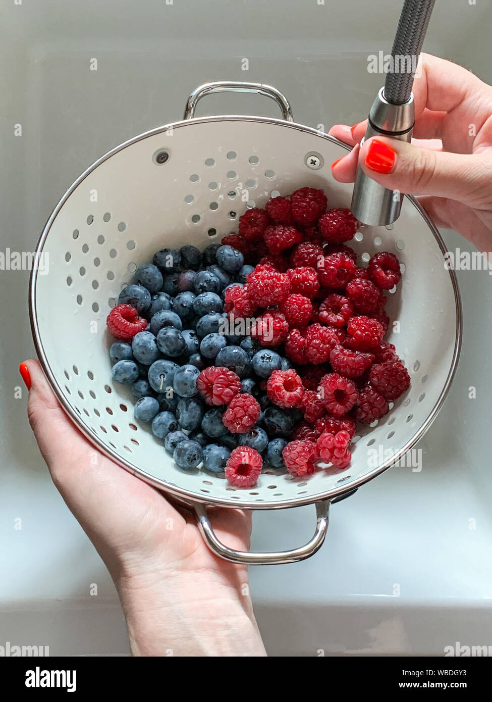Woman hand washing raspberry and blueberry in a large metal bowl with ...