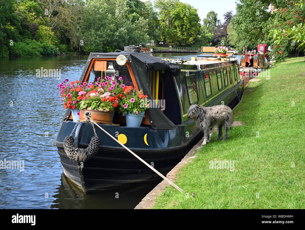 Picturesque narrow boat on the River Avon at Stratford upon Avon ...
