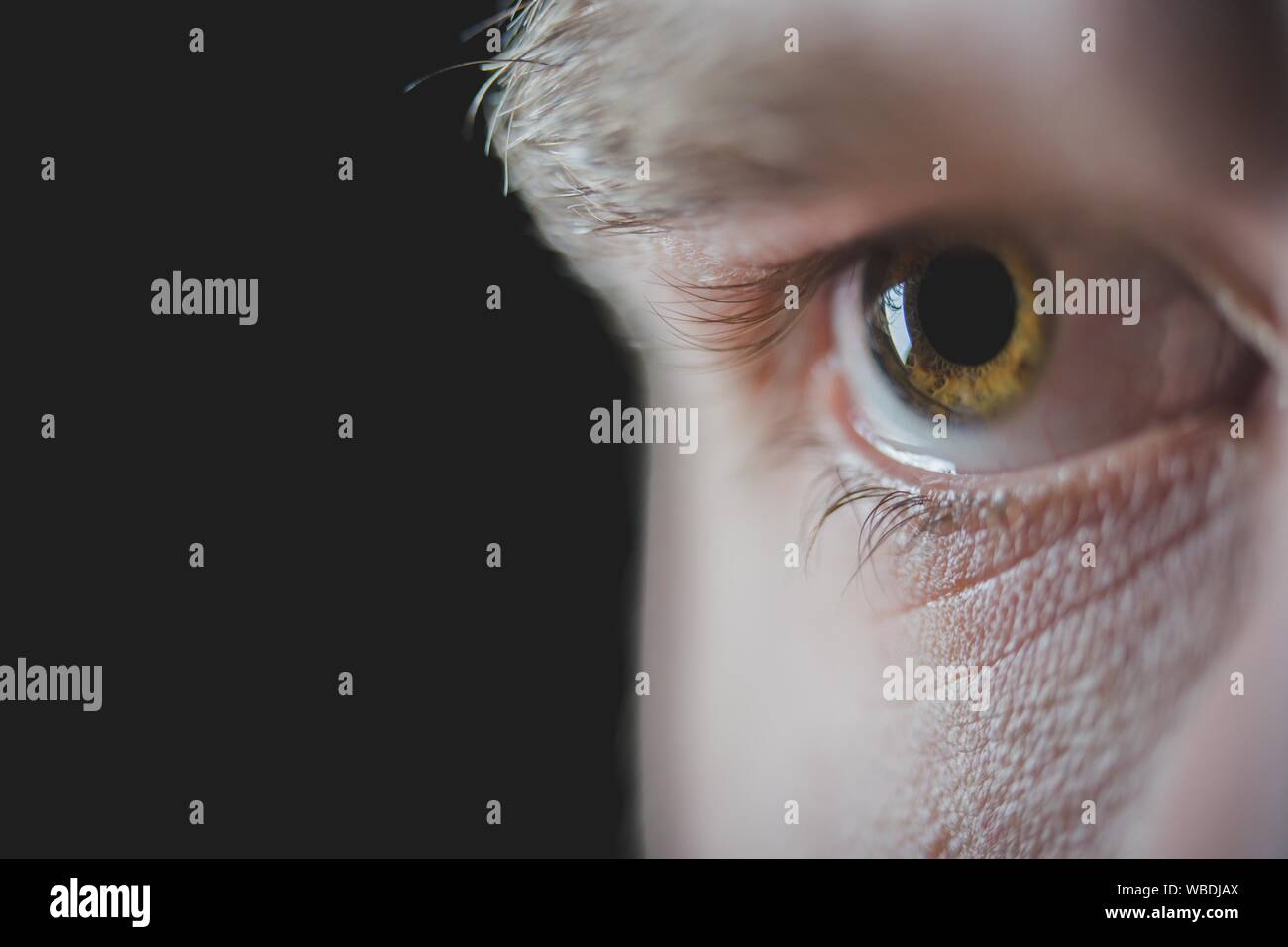 Macro shot right eye hi-res stock photography and images - Alamy