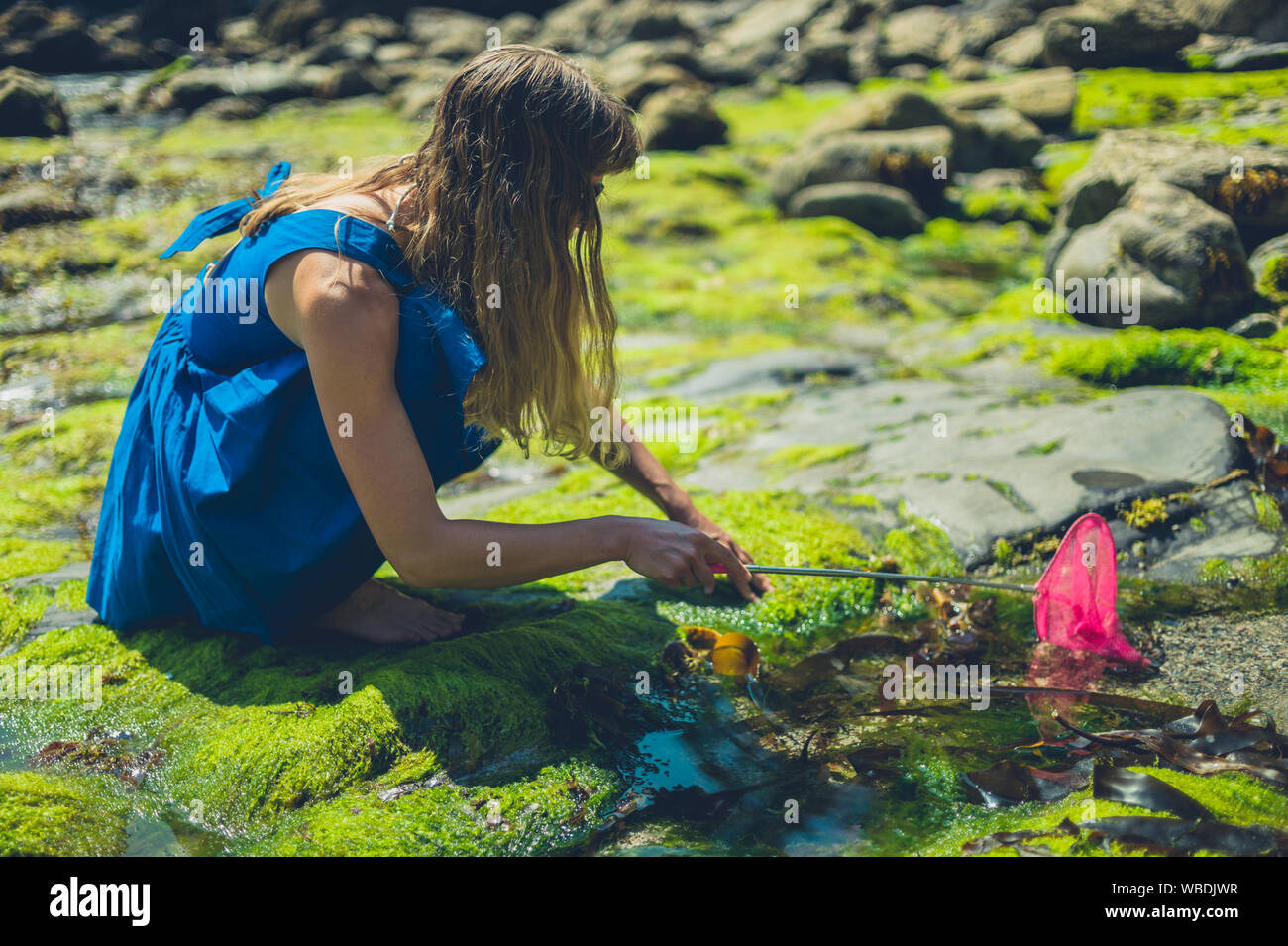 Woman fishing with net beach hi-res stock photography and images - Alamy