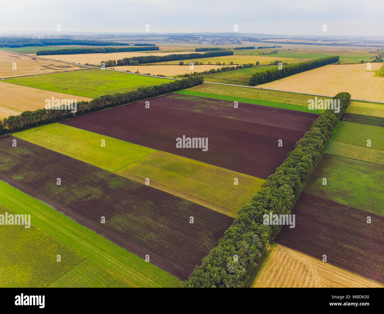 Aerial drone shot trees growing hi-res stock photography and images - Alamy