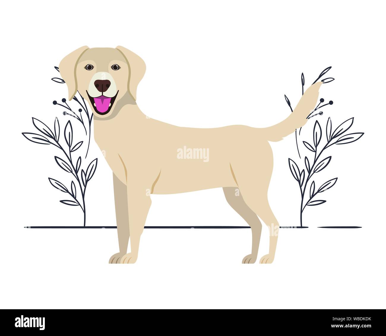 cute labrador retriever dog on white background Stock Vector Image ...