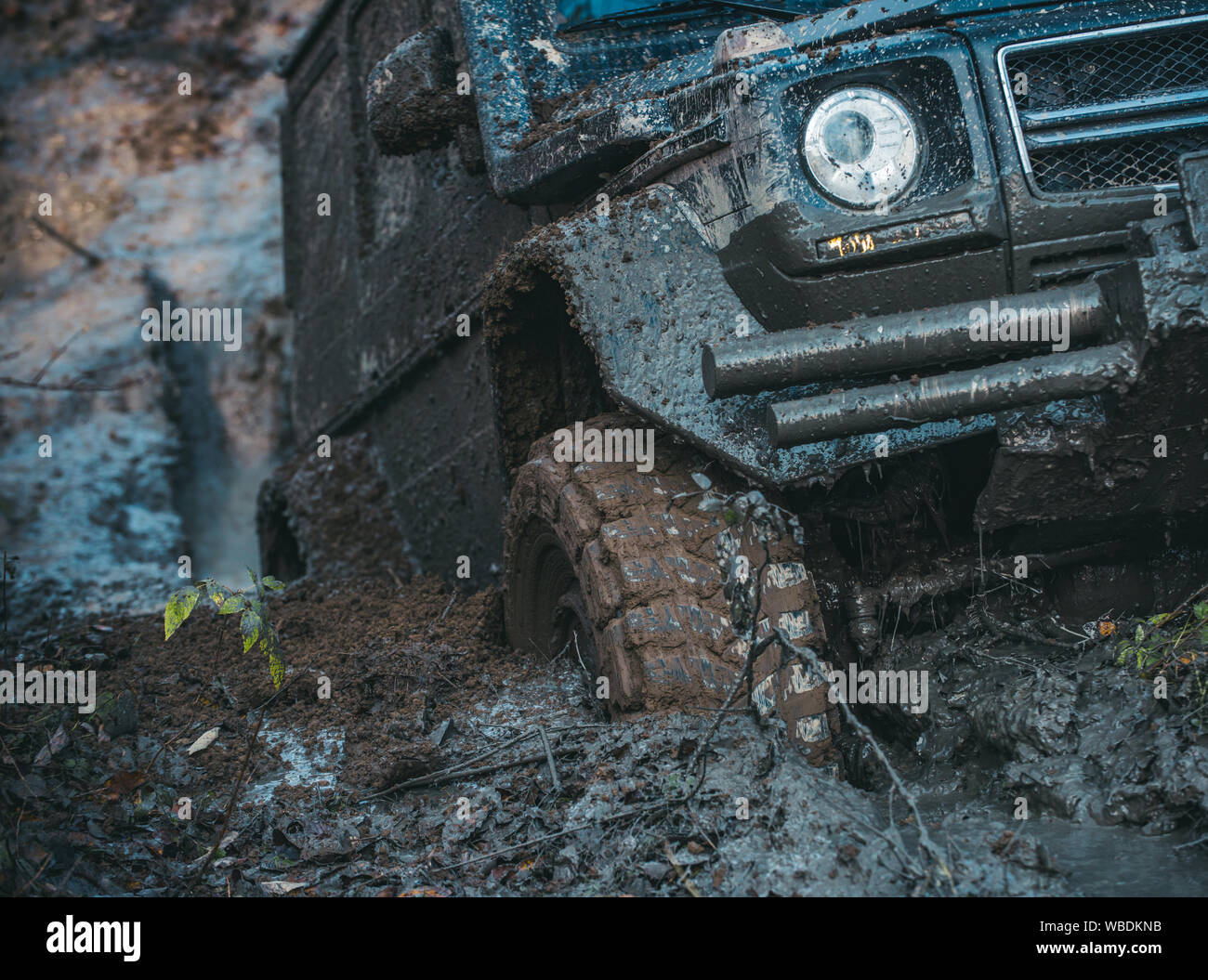 4x4 or 4WD car with wheels in mud in the forest, off road. Car stuck in ...