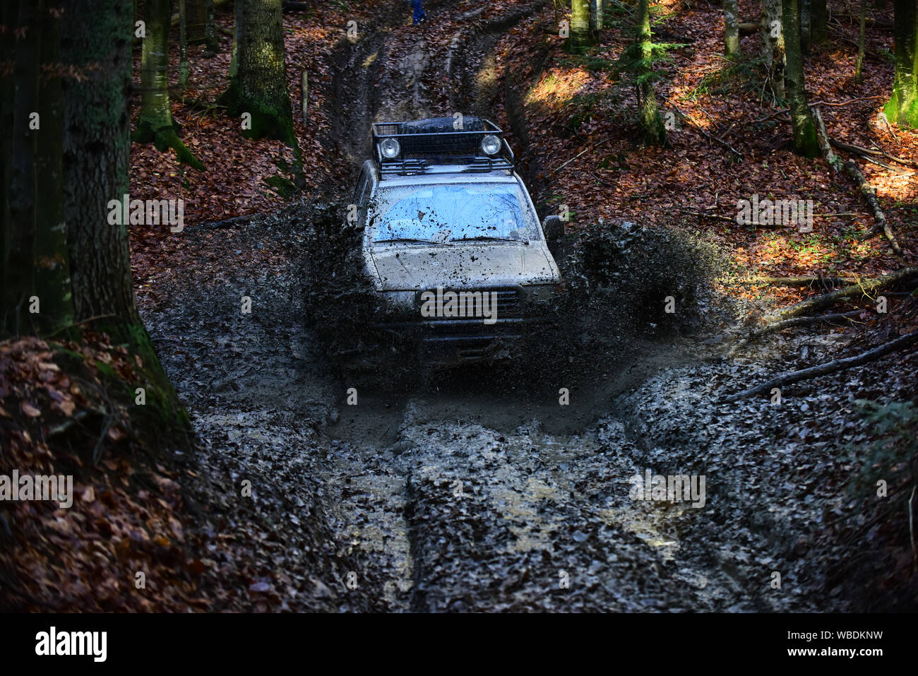 SUV covered with mud stuck in dirt on path covered with leaves. Dirty ...