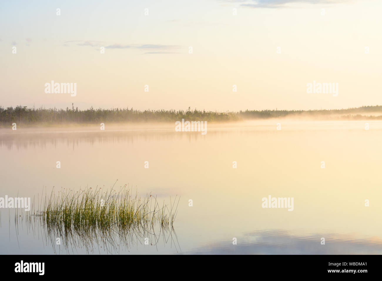 Foggy lake in Canada during sunrise Stock Photo - Alamy