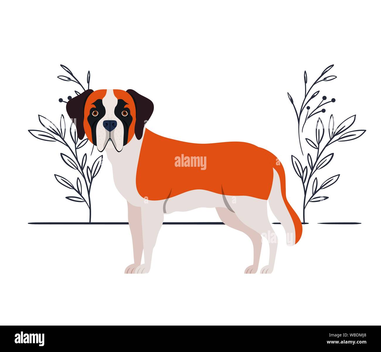 cute san bernardo dog on white background Stock Vector Image & Art - Alamy