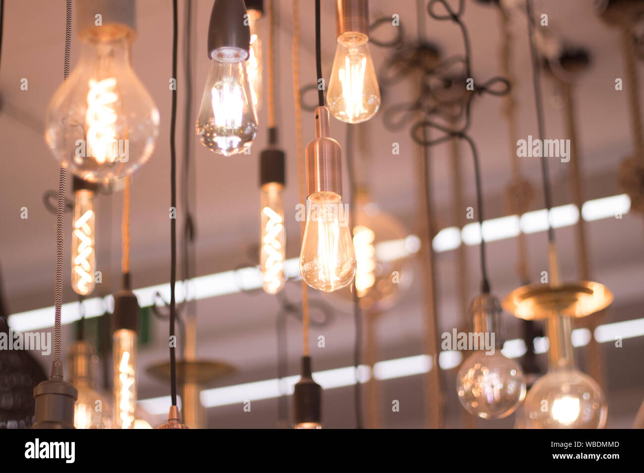 LED modern lights and bulbs on display in store lighting department ...