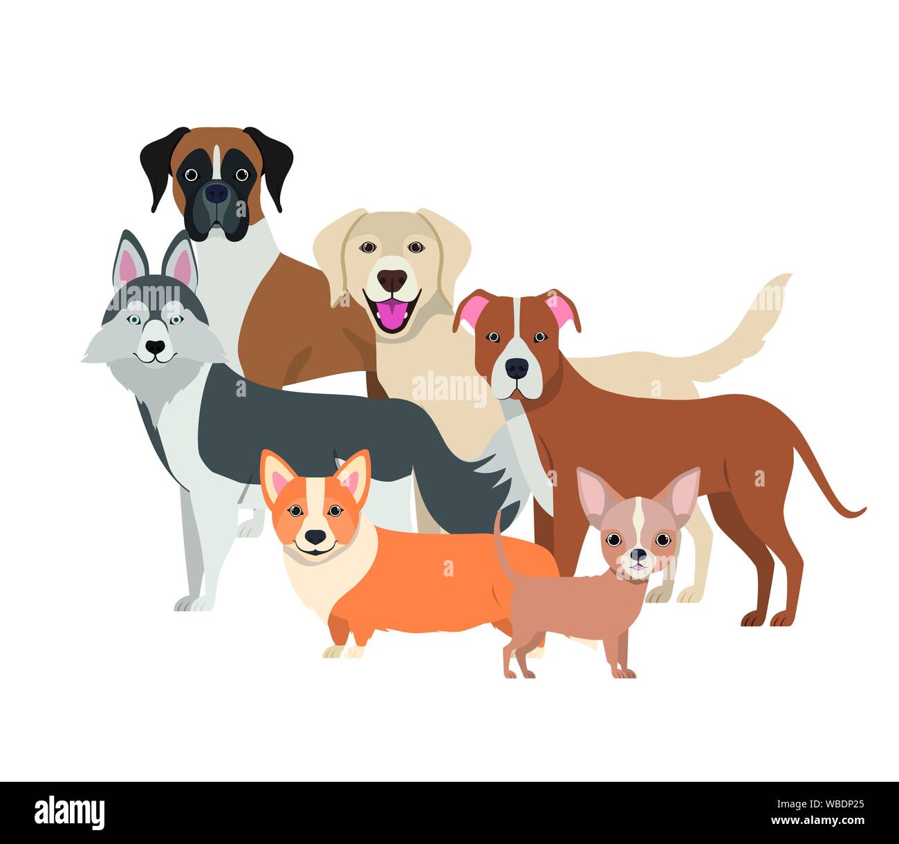Chihuahua funny labrador Stock Vector Images - Alamy
